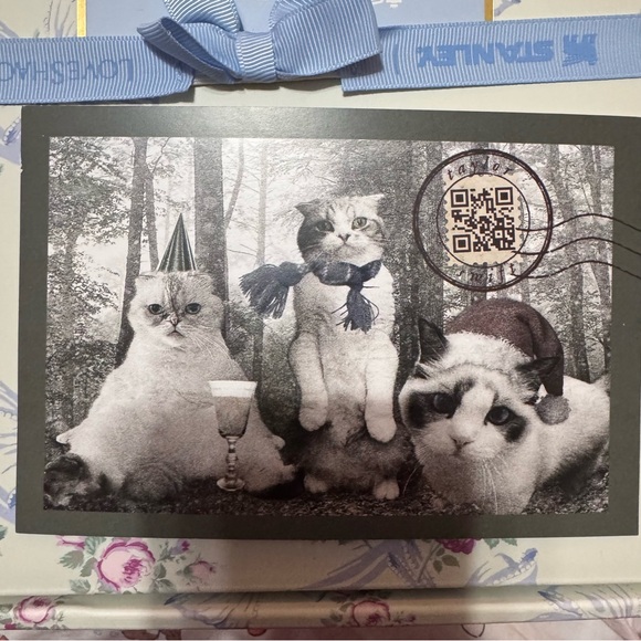 Taylor Swift | Other | Extremely Rarehtf Taylor Swift Postcard Cats ...